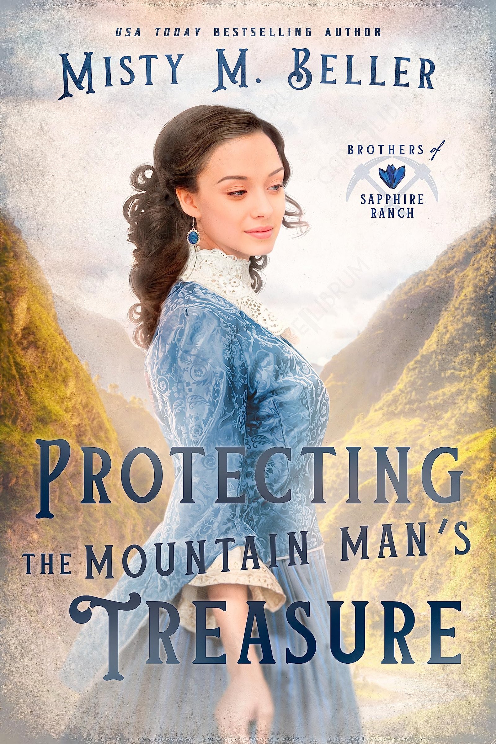 Book Review of Protecting the Mountain Man's Treasure (Brothers of Sap… - Readinista